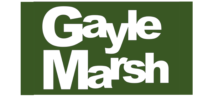 The Irisg Fly Fair 3 Pages of images taken by Gayle Marsh